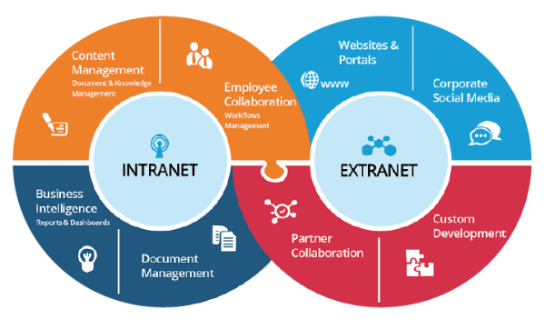 SharePoint Intranets - TECI